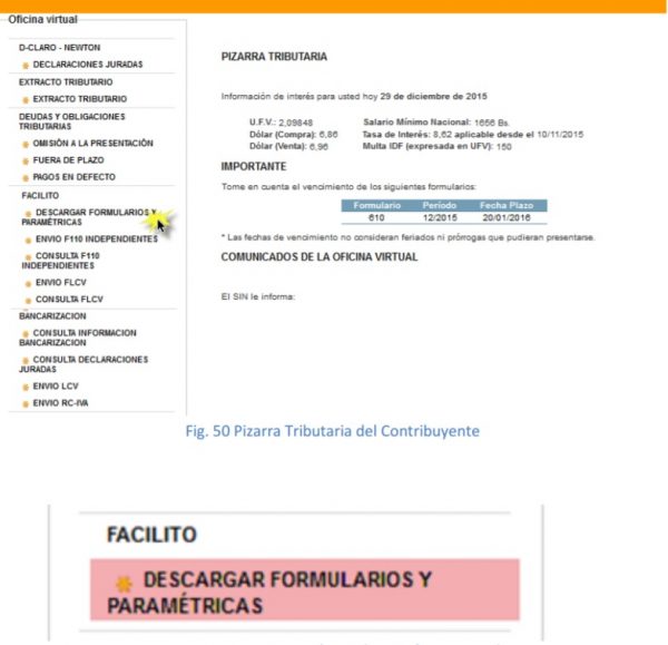 Formulario 110 Facilito, manual de uso - Bolivia Impuestos Blog