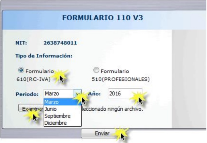 Formulario 110 Facilito, manual de uso - Bolivia Impuestos Blog