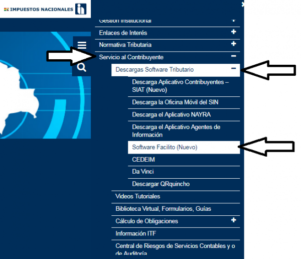 Formulario 110 Facilito, manual de uso - Bolivia Impuestos Blog