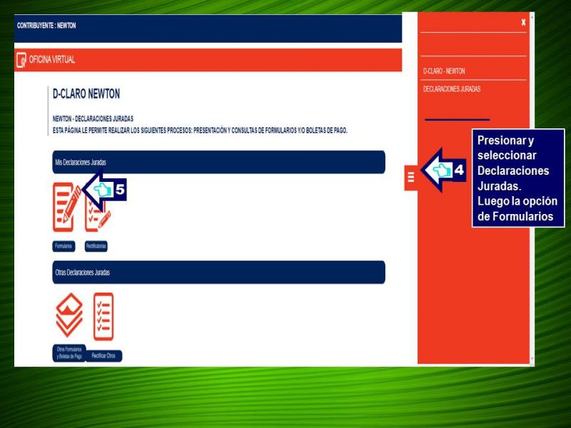 Formulario 410 ejemplo de llenado - Bolivia Impuestos Blog