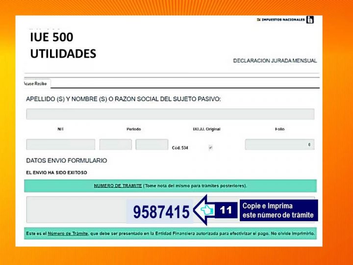 Guía de llenado de formulario 500 IUE - Bolivia Impuestos Blog
