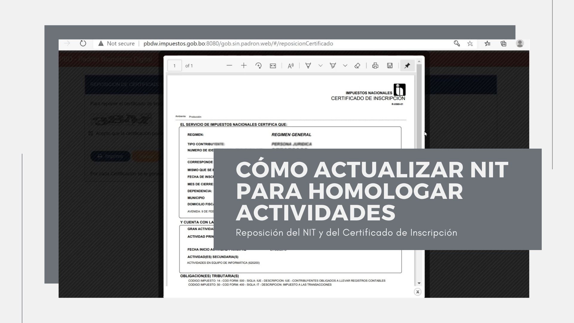 Reposición NIT. Homologación de Actividades - Bolivia Impuestos Blog