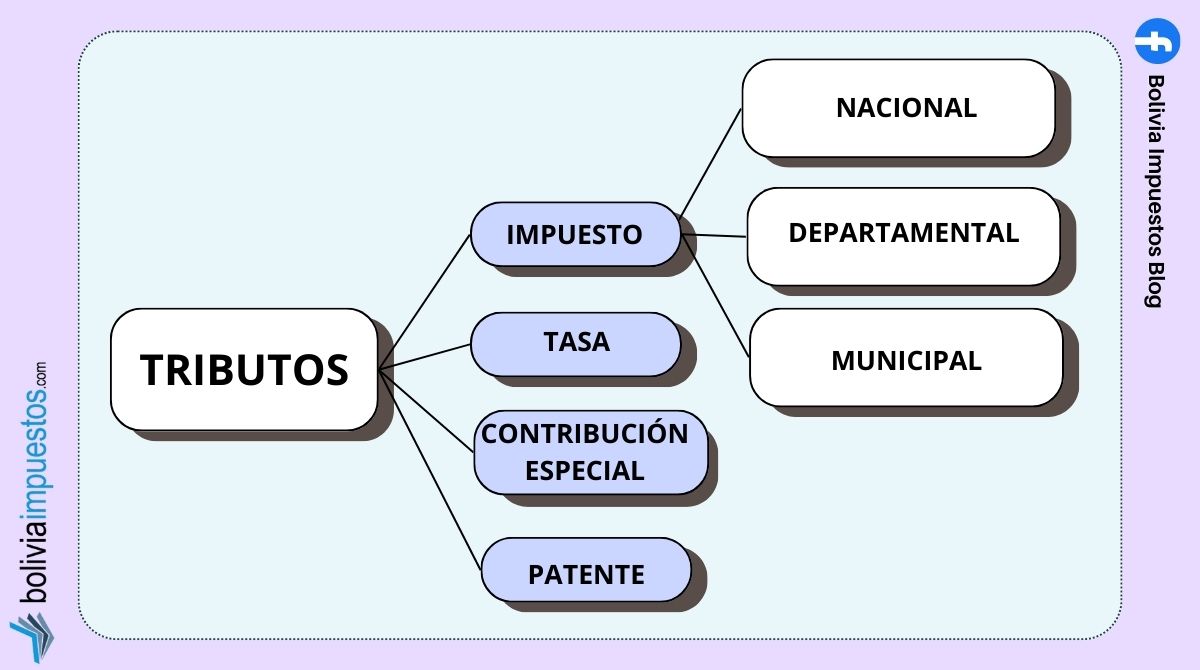¿Cuáles son todos los impuestos que hay en Bolivia?